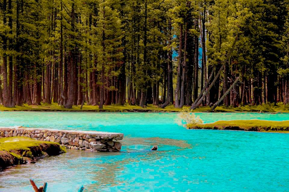 Book Swat Valley Tour Packages 2022 - Pakvoyager